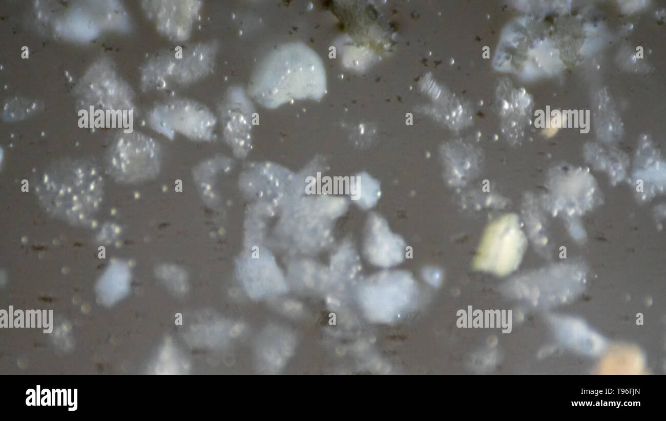 Aqua bio background with particles of plant origin ultra macro ...