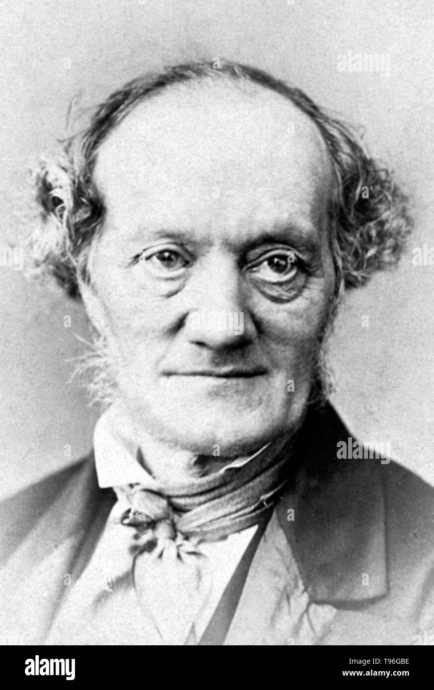 Comparative anatomist anatomy hi-res stock photography and images - Alamy