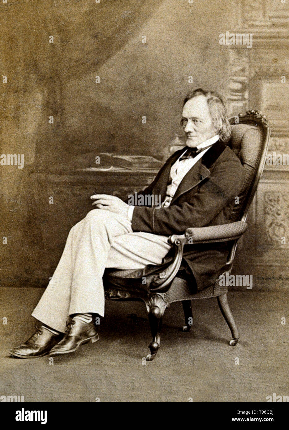 Comparative anatomist anatomy hi-res stock photography and images - Alamy