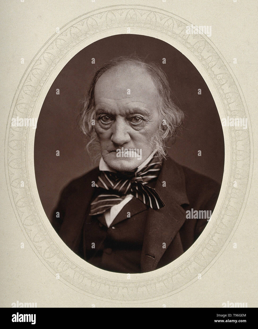 Comparative anatomist anatomy hi-res stock photography and images - Alamy