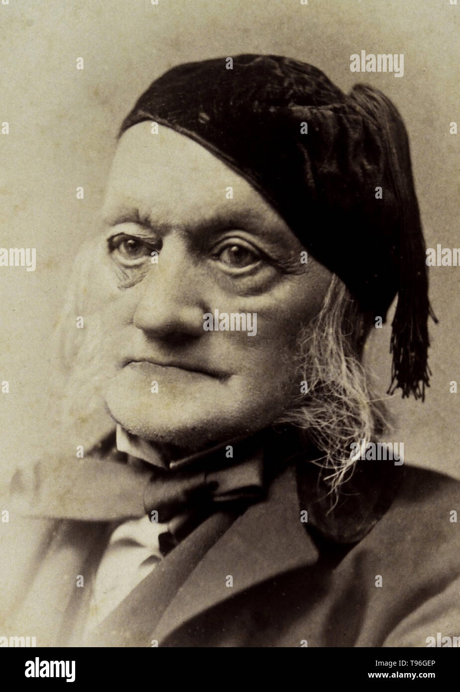 Comparative anatomist anatomy hi-res stock photography and images - Alamy