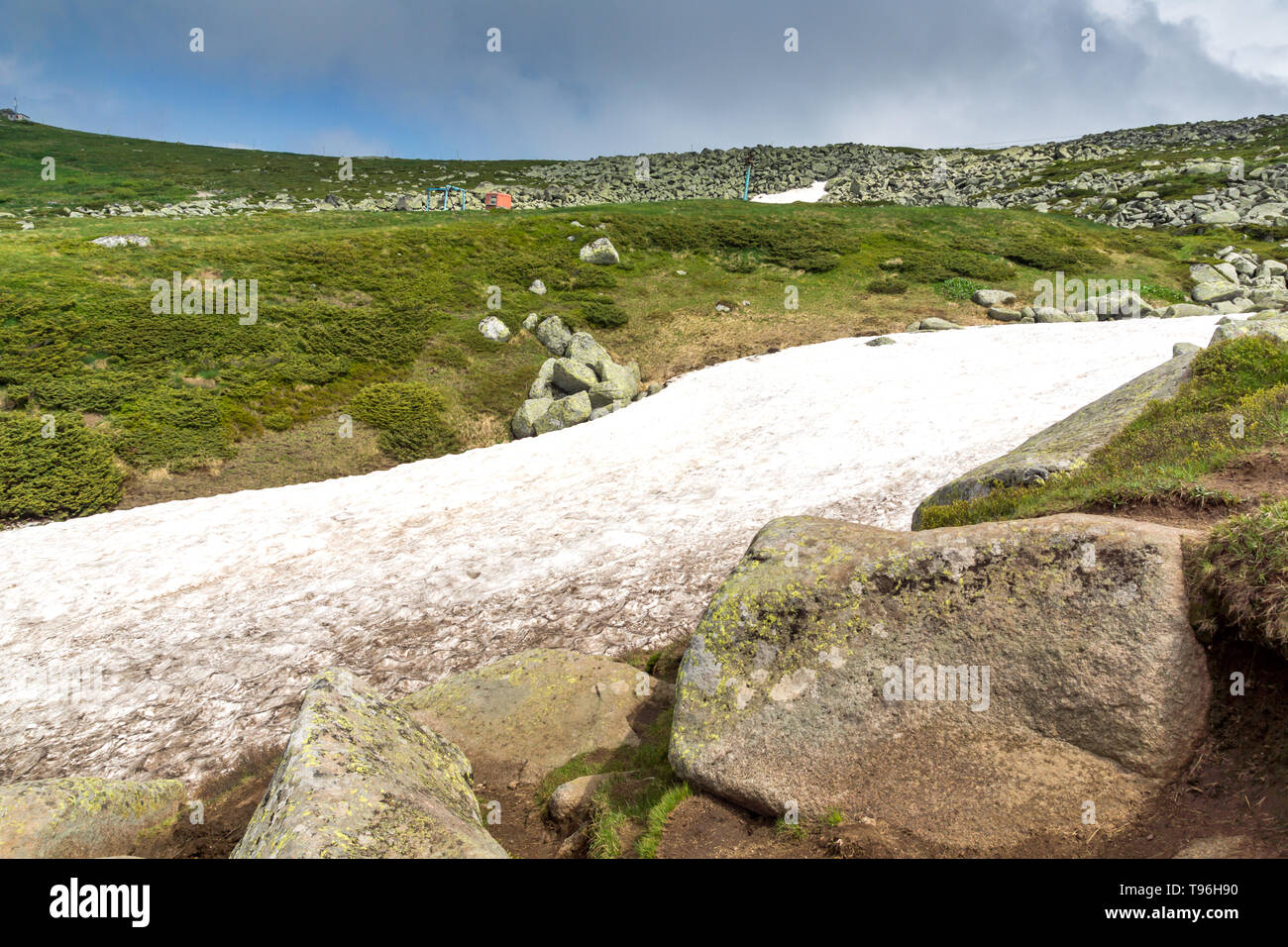 Green hills of Vitosha Mountain near Cherni Vrah Peak, Sofia City ...
