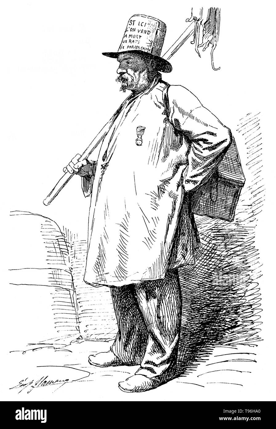 Pole dead rats suspended hi-res stock photography and images - Alamy