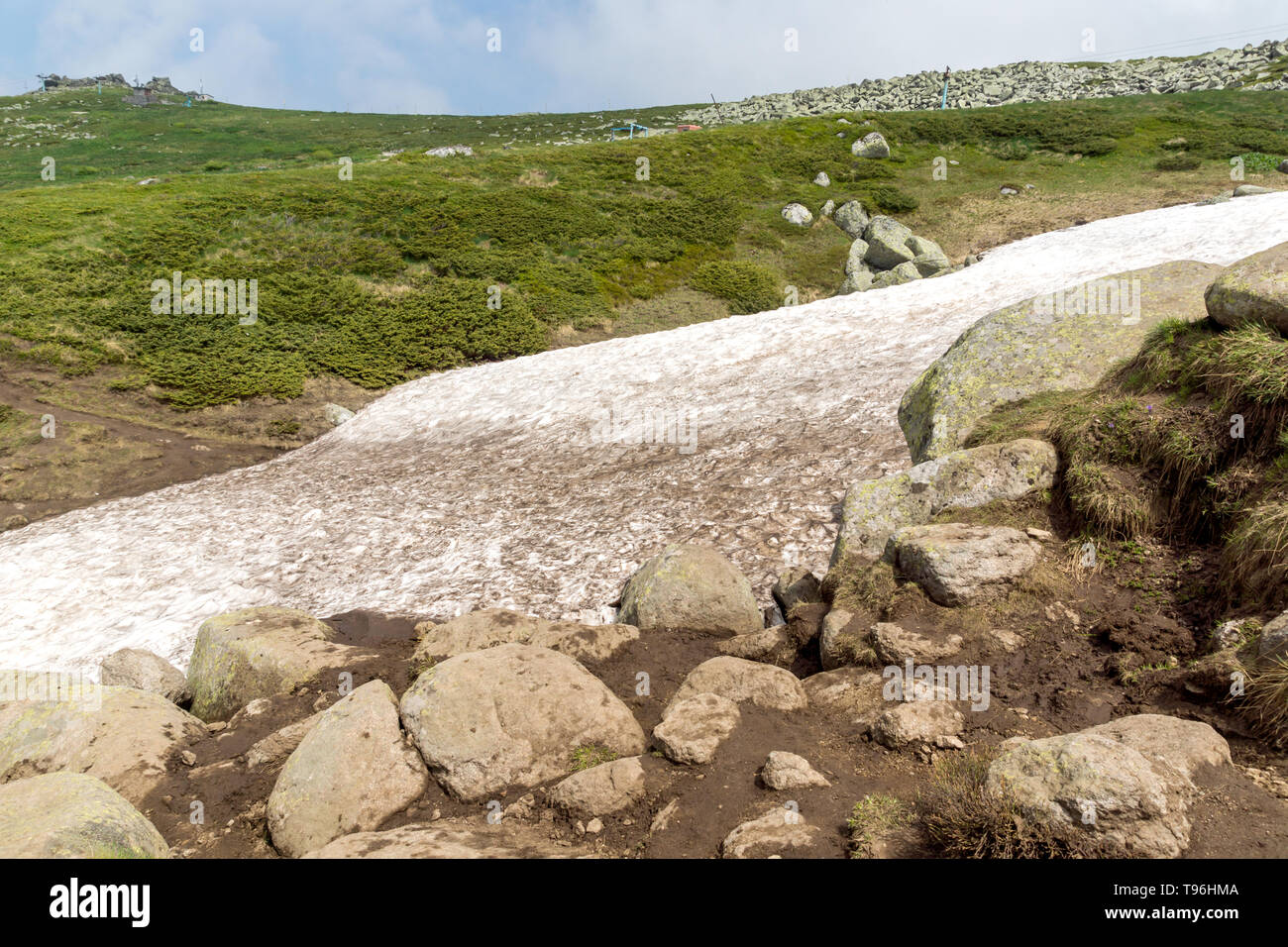 Green hills of Vitosha Mountain near Cherni Vrah Peak, Sofia City ...