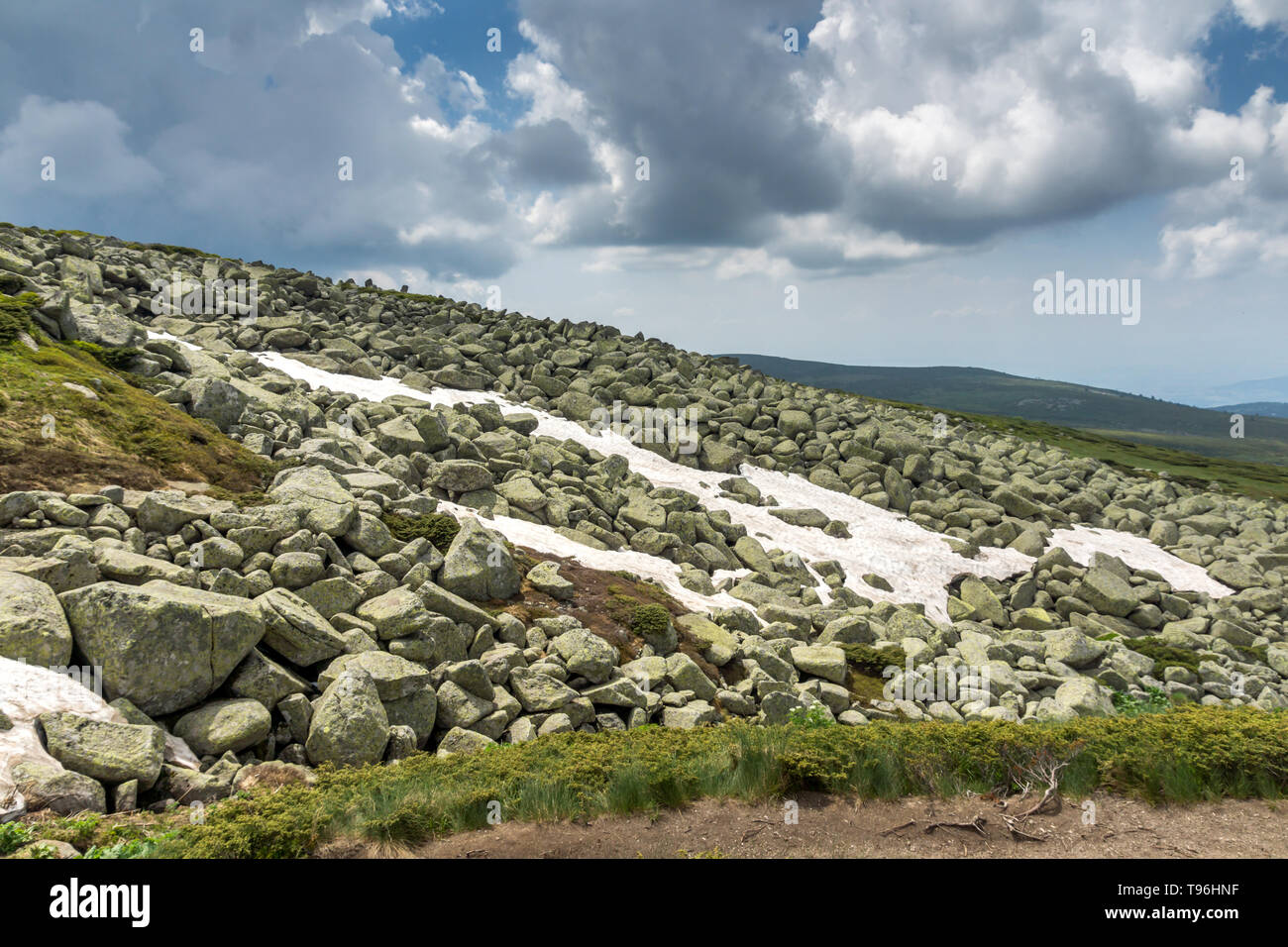 Green hills of Vitosha Mountain near Cherni Vrah Peak, Sofia City ...