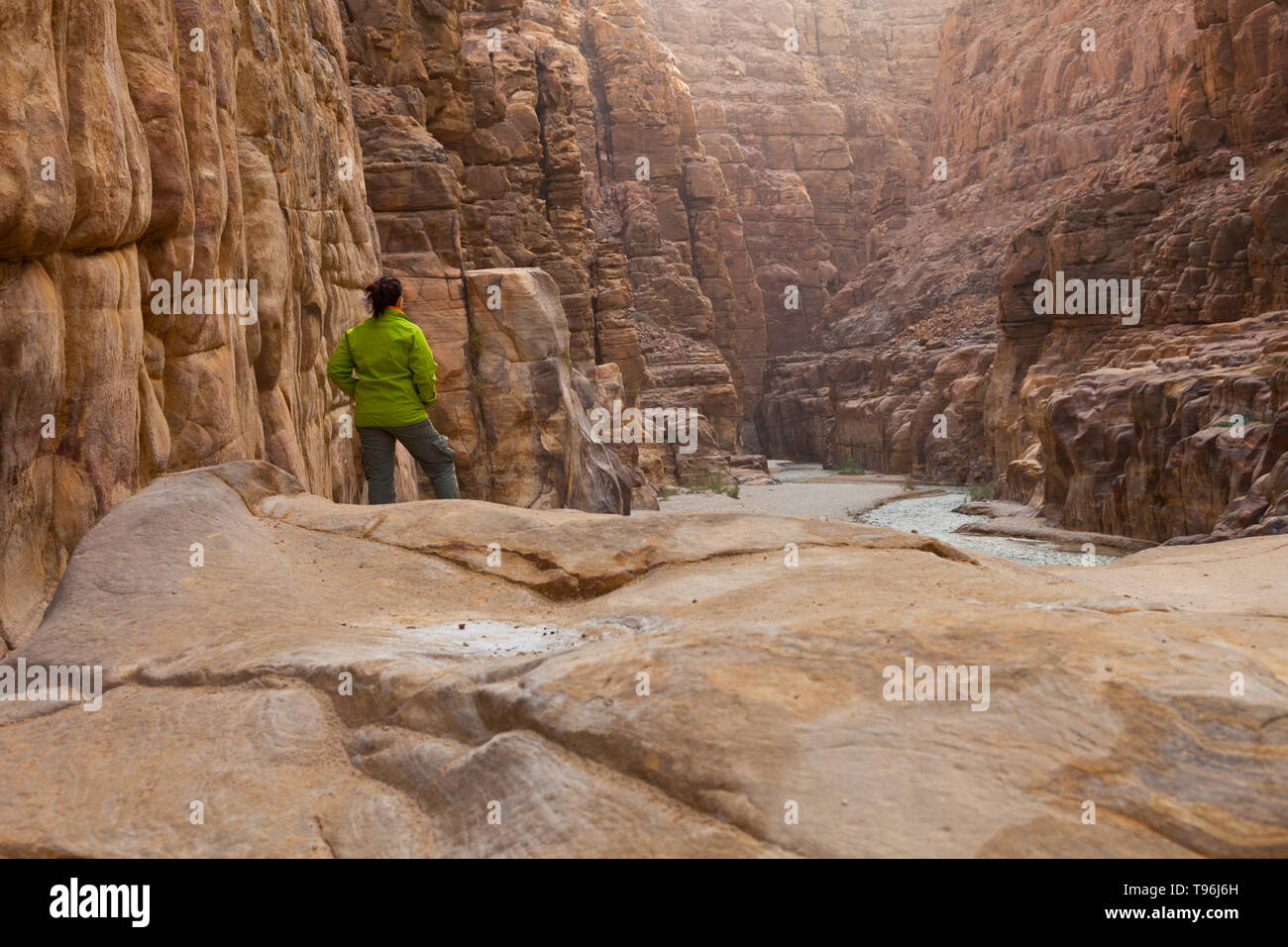 Cañón. Reserva Natural de Mujib. Valle del Rift. Mar Muerto. Jordania ...