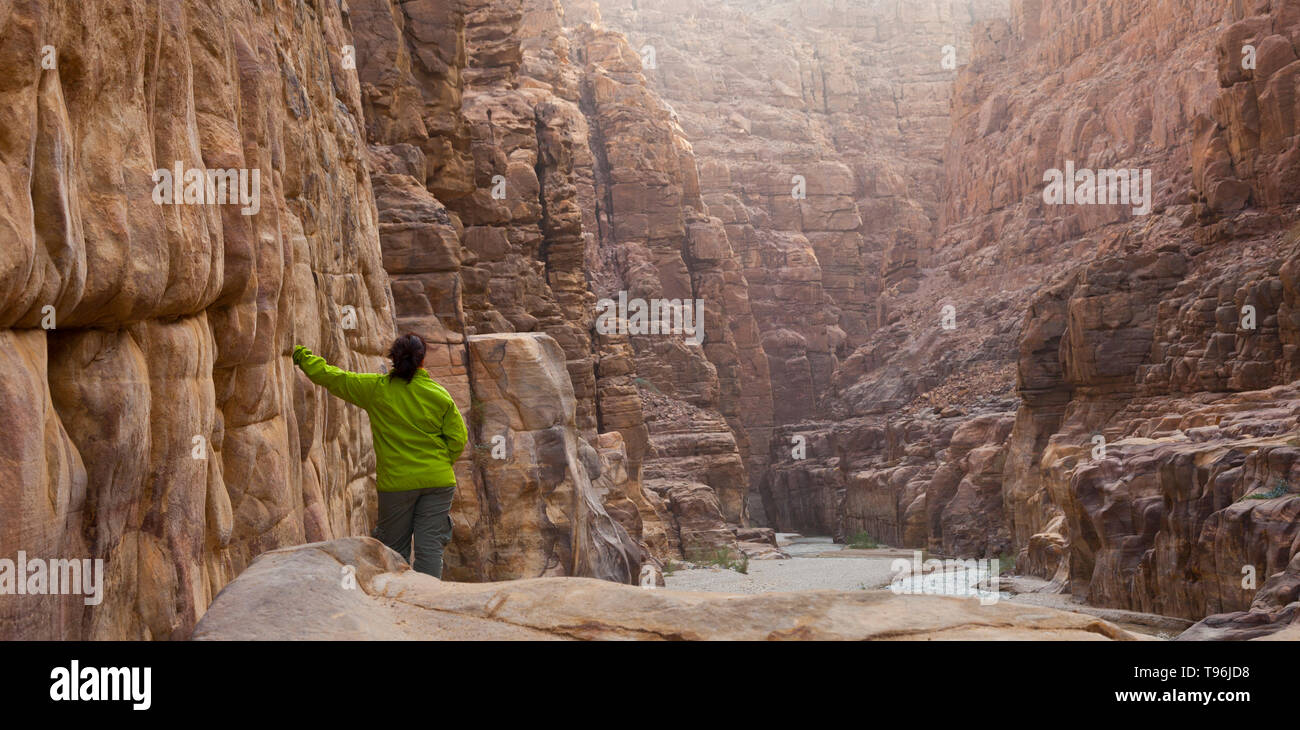 Cañón. Reserva Natural de Mujib. Valle del Rift. Mar Muerto. Jordania ...