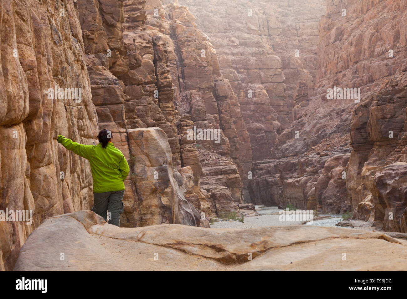 Cañón. Reserva Natural de Mujib. Valle del Rift. Mar Muerto. Jordania ...