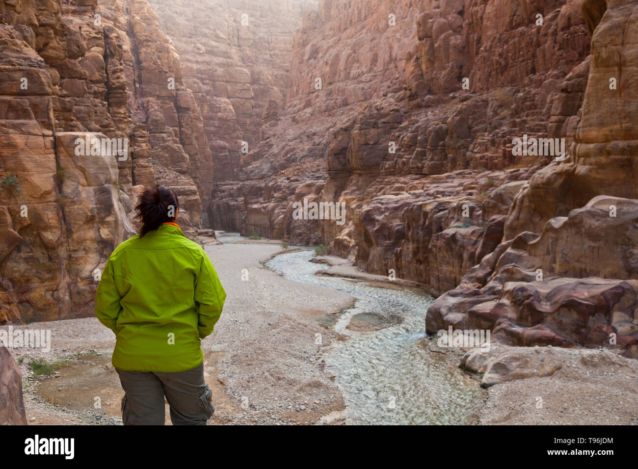Cañón. Reserva Natural de Mujib. Valle del Rift. Mar Muerto. Jordania ...