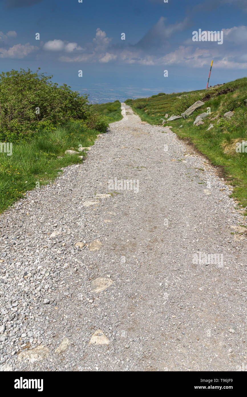 Green hills of Vitosha Mountain near Cherni Vrah Peak, Sofia City ...