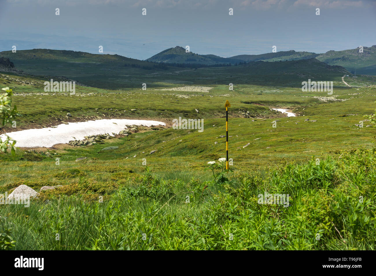 Green hills of Vitosha Mountain near Cherni Vrah Peak, Sofia City ...