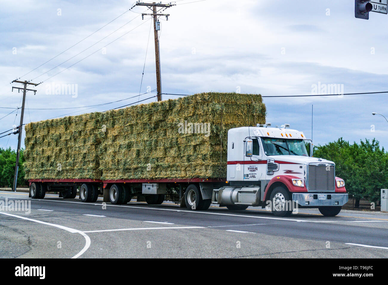 A Hay Truck stopped at a traffic light in the Central Valley Stanislaus ...