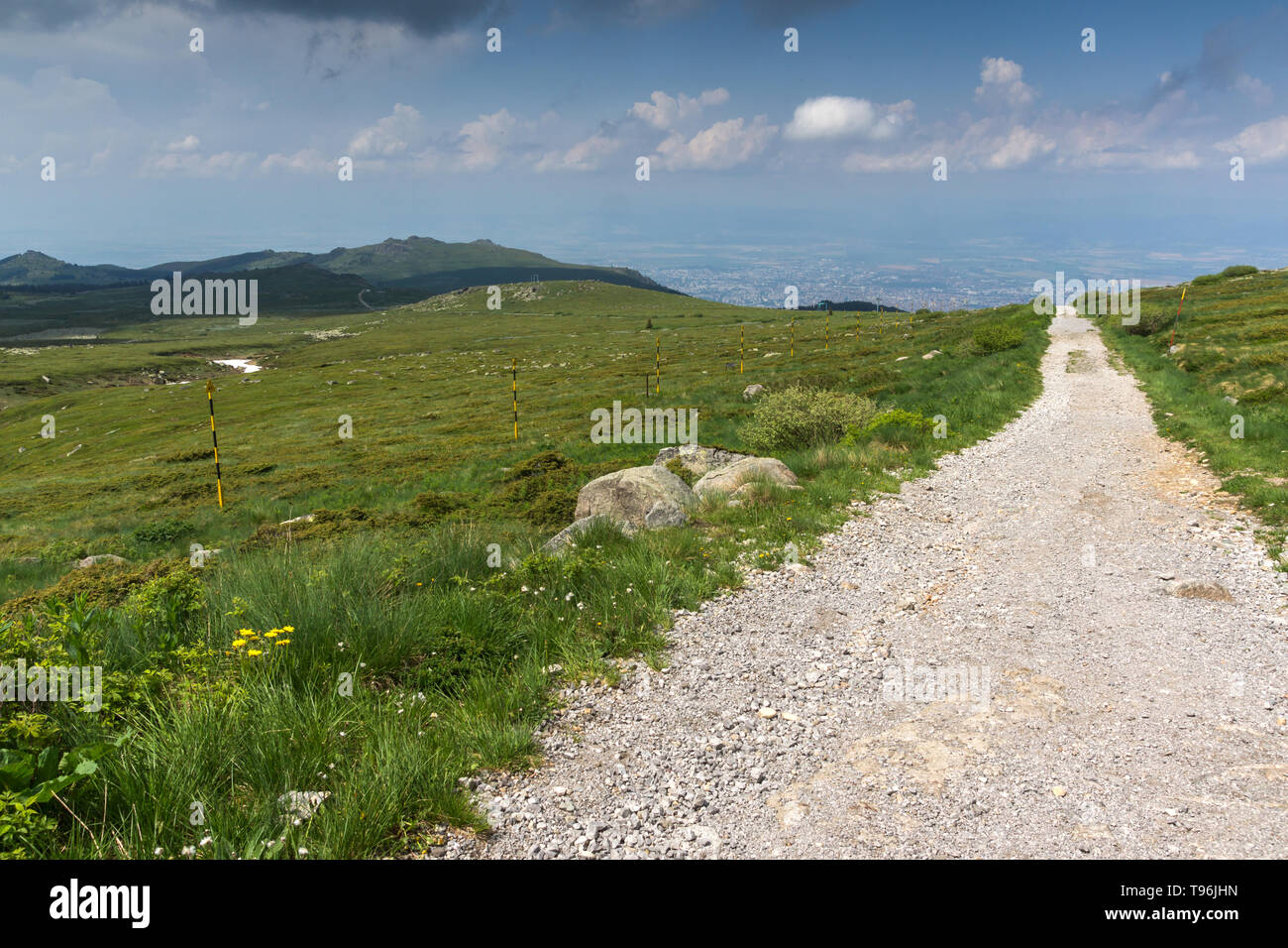 Green hills of Vitosha Mountain near Cherni Vrah Peak, Sofia City ...