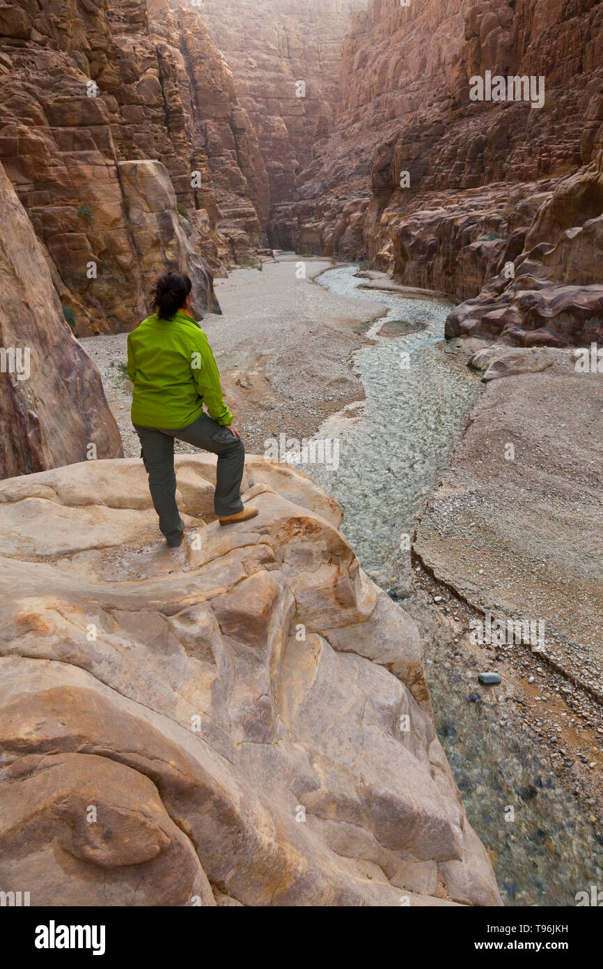 Cañón. Reserva Natural de Mujib. Valle del Rift. Mar Muerto. Jordania ...