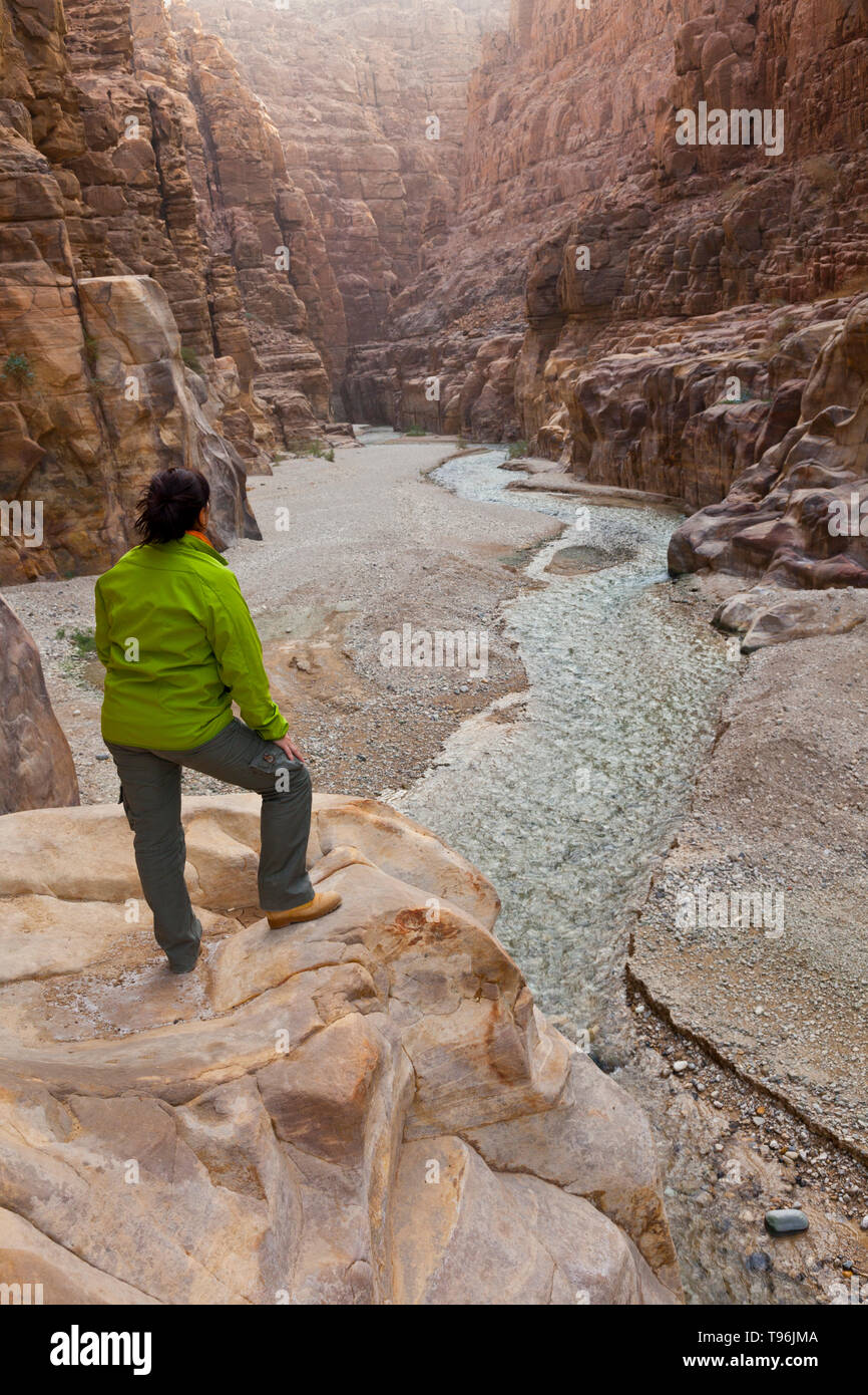 Cañón. Reserva Natural de Mujib. Valle del Rift. Mar Muerto. Jordania ...