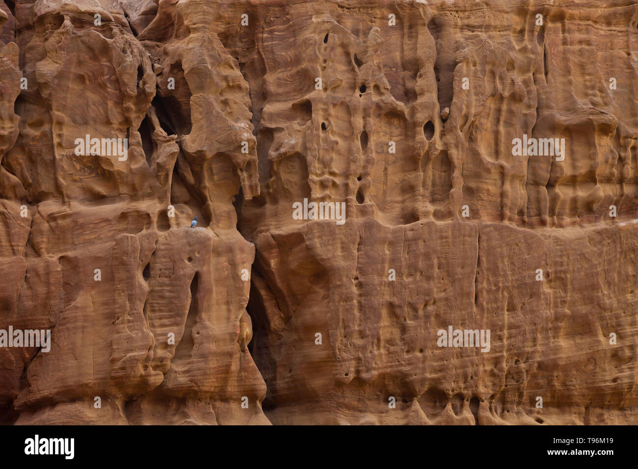 Cañón. Reserva Natural de Mujib. Valle del Rift. Mar Muerto. Jordania ...