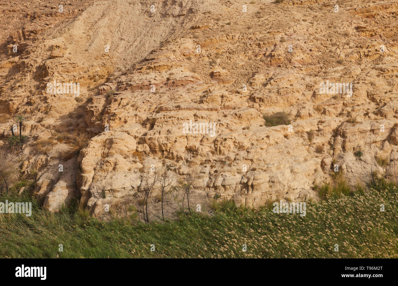 Cañón en Fifa. Valle del Rift. Mar Muerto. Jordania, Oriente Medio ...