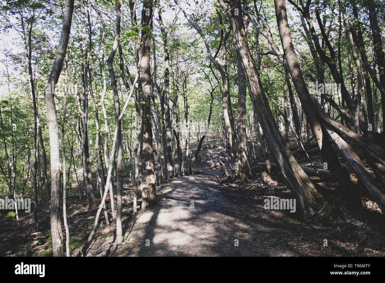 Hiking in nature Stock Photo - Alamy