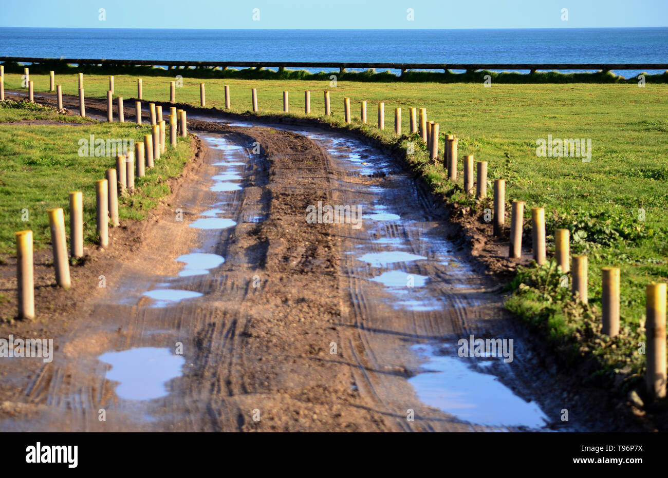 Muddy Tracks at the seaside, Beesands, Devon, England Stock Photo - Alamy