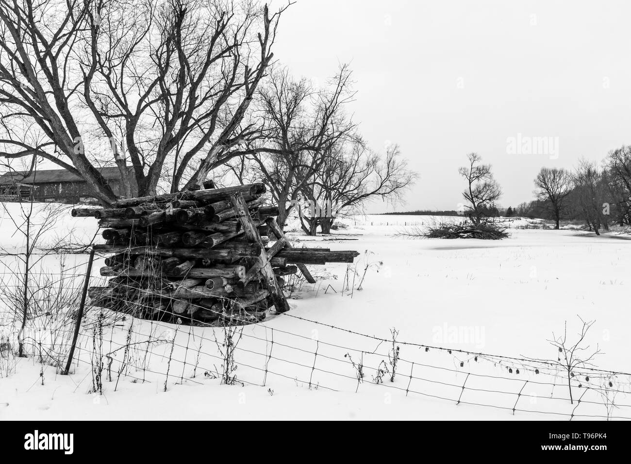 Winter field in snow Black and White Stock Photos & Images - Alamy