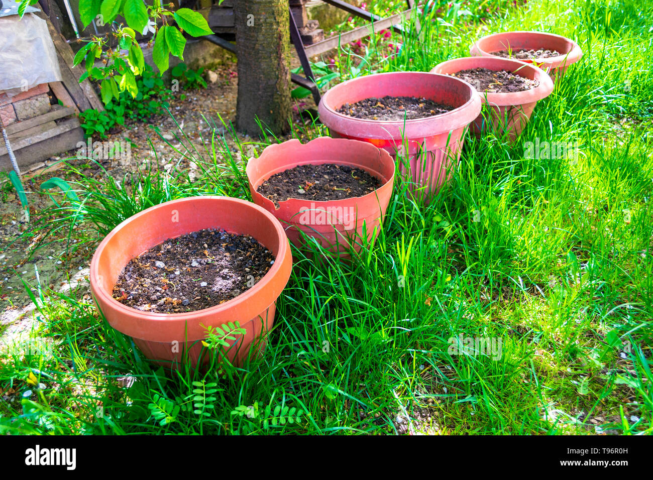 Five big flower pots with garden potting soil under a tree, laid down ...