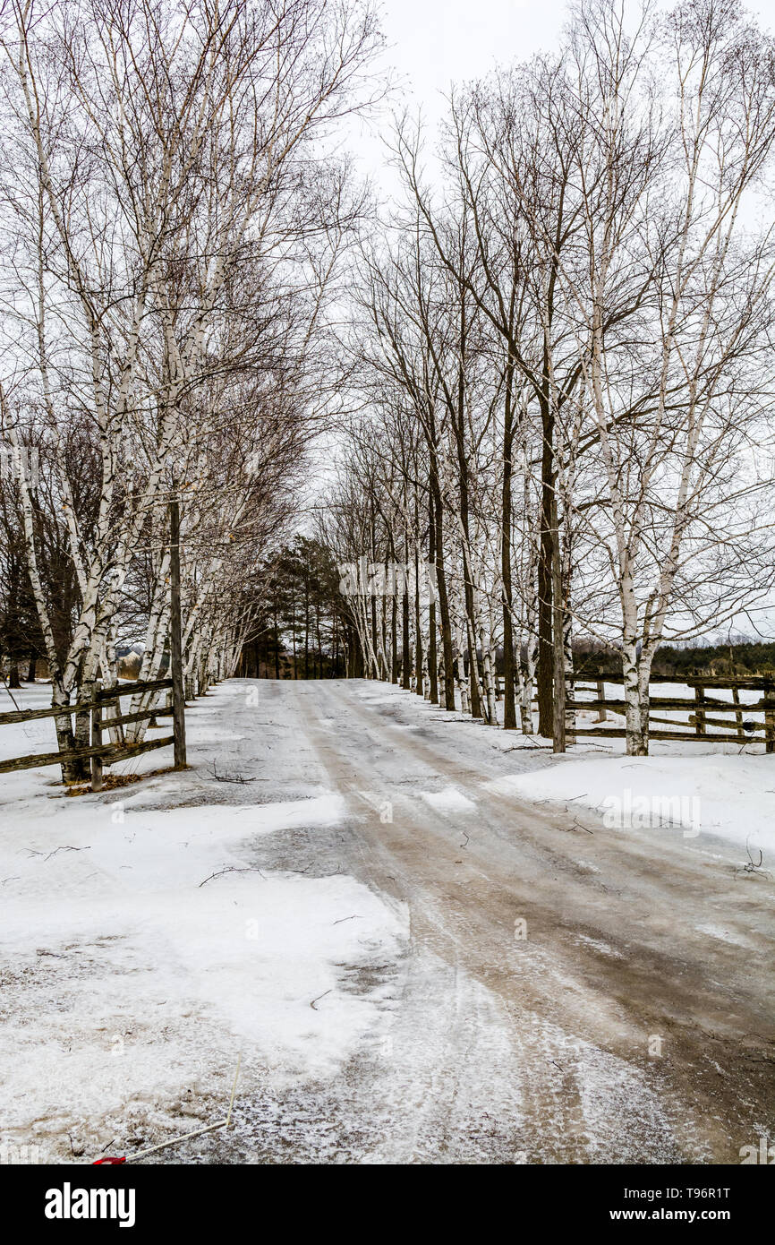 Farm with driveway hi-res stock photography and images - Alamy