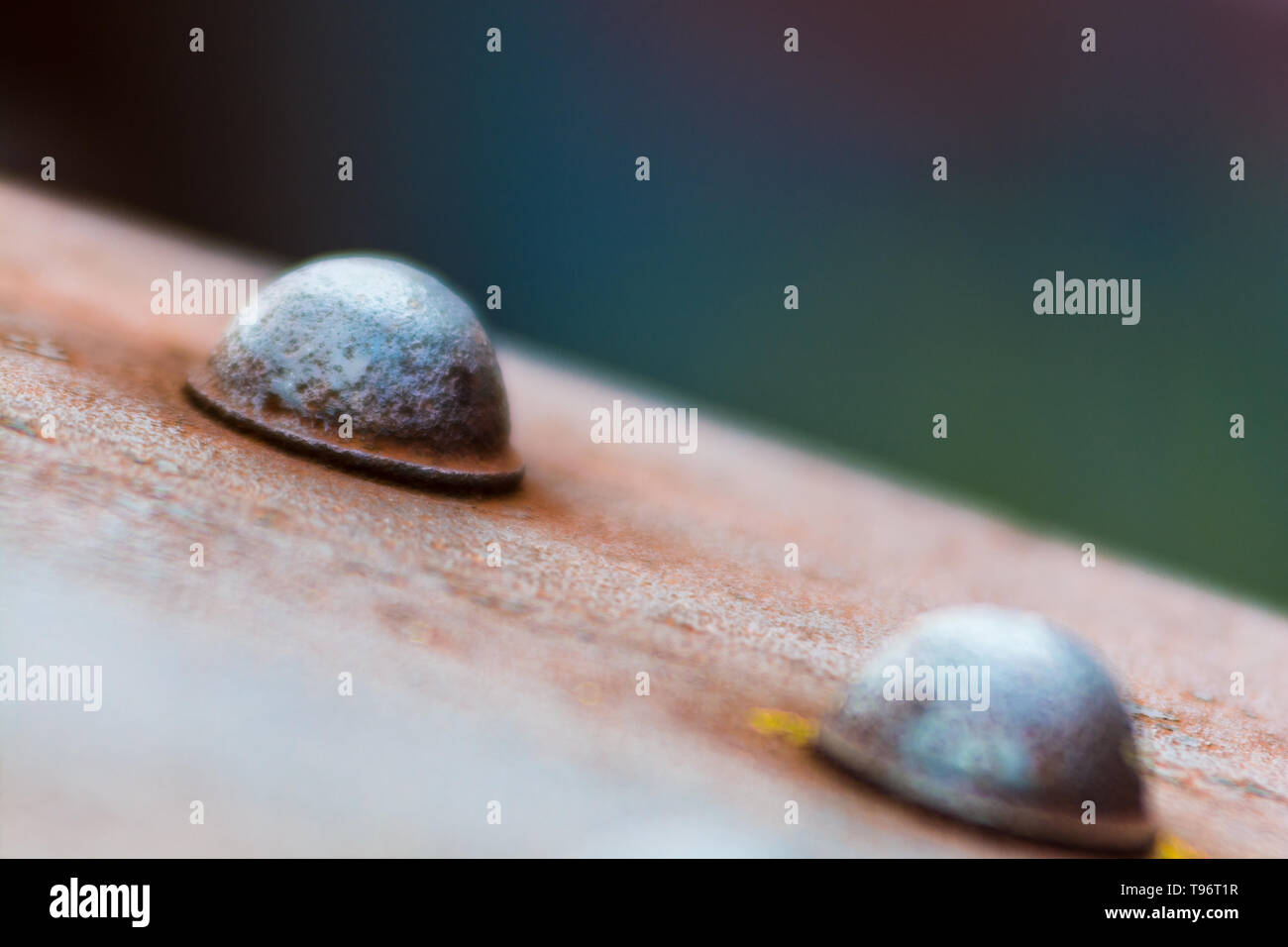 Round head hi-res stock photography and images - Alamy