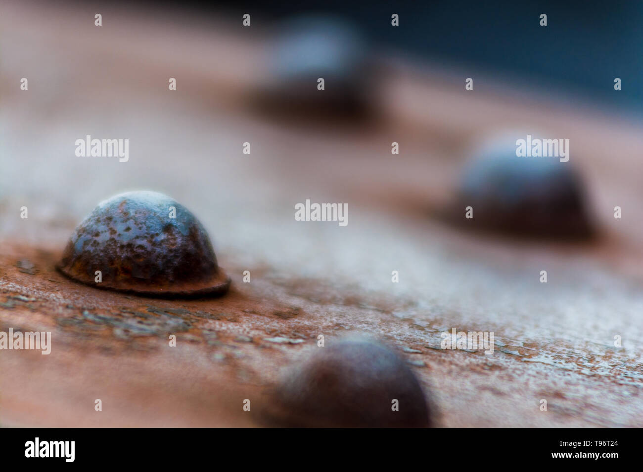 Round head hi-res stock photography and images - Alamy