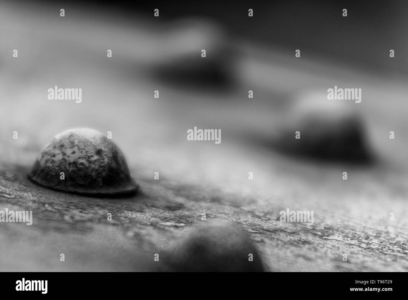 Round head hi-res stock photography and images - Alamy