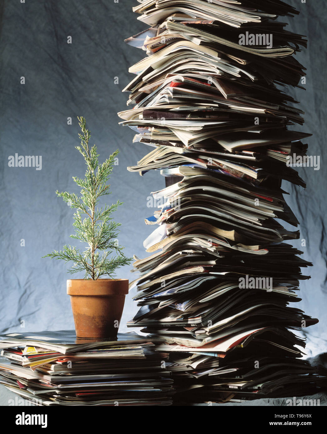 Ecological forestry hi-res stock photography and images - Alamy