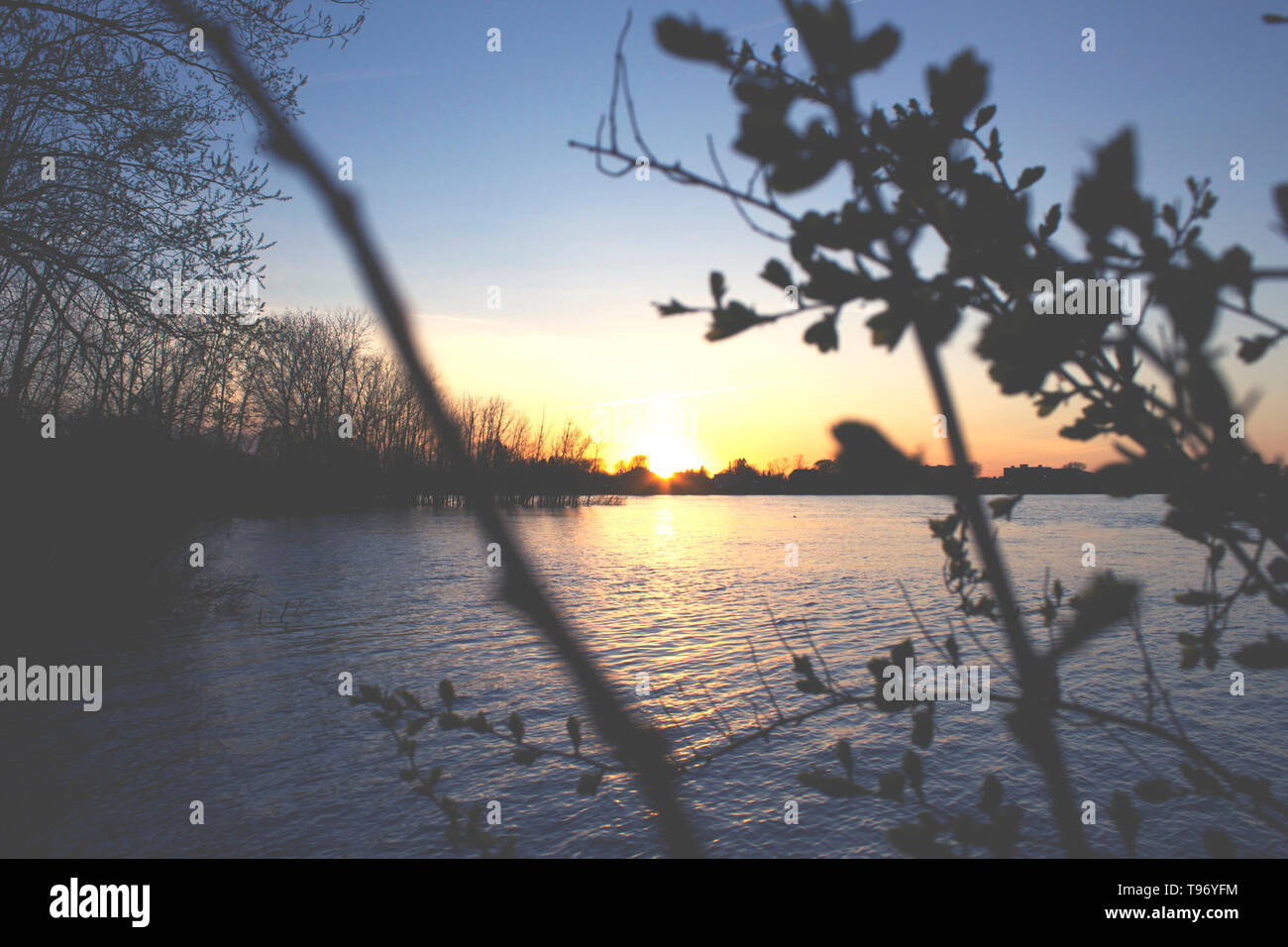 Golden light photography hi-res stock photography and images - Alamy