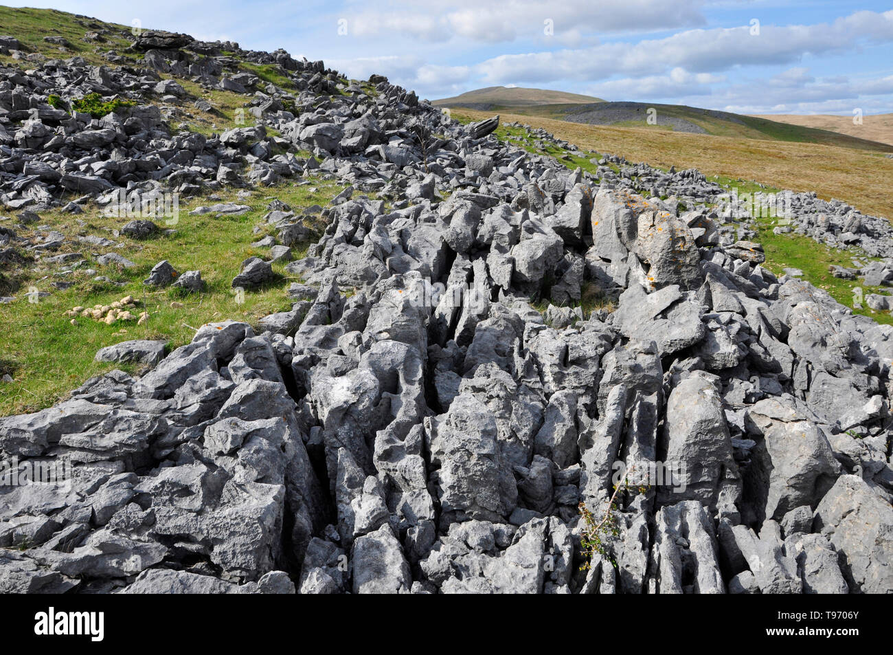 Carboniferous limestone outcrop on the mountain above Dan-yr-Ogof caves ...