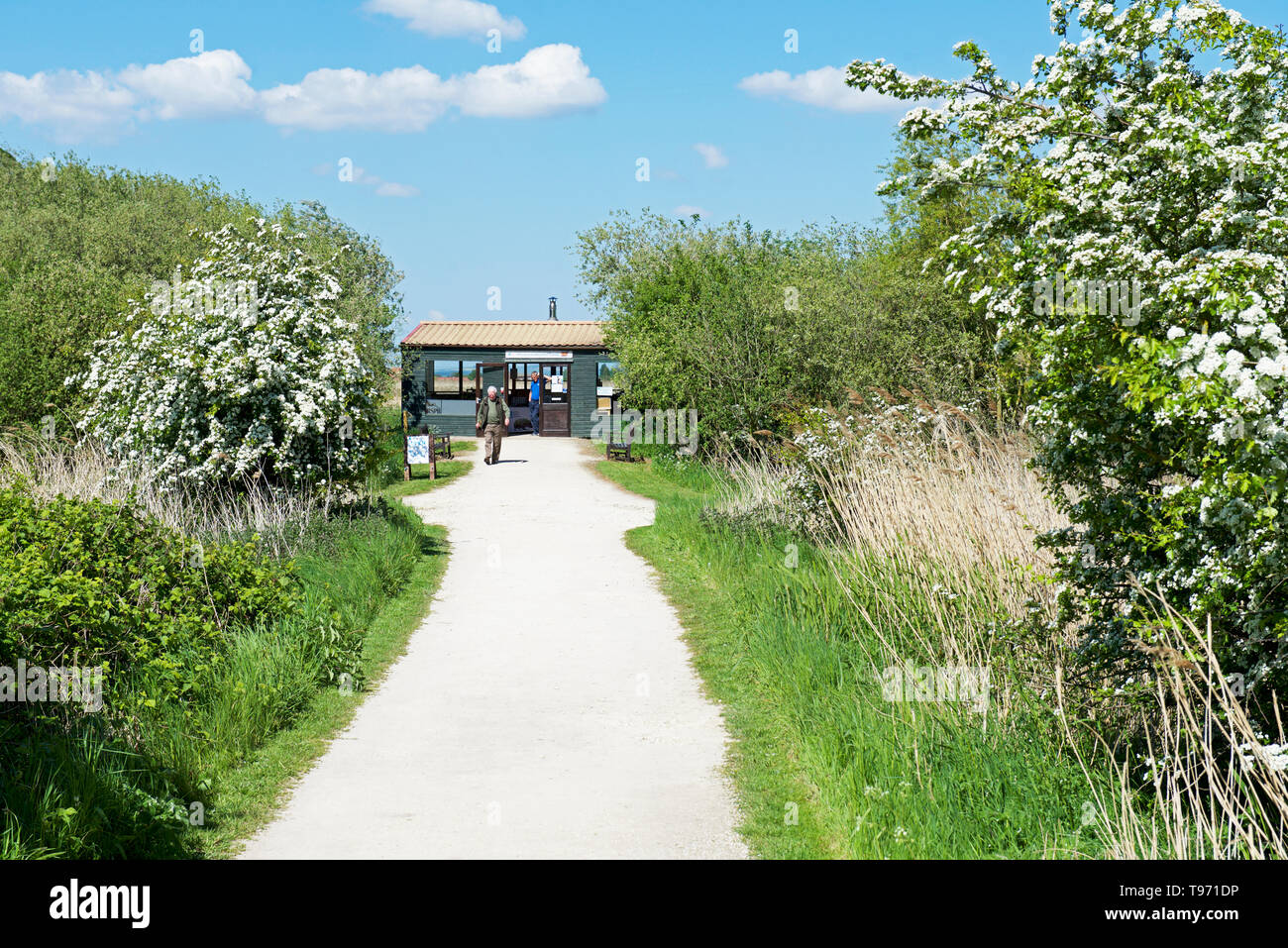 Blacktoft Sands, RSPB Nature Reserve, East Yorkshire, England UK Stock ...