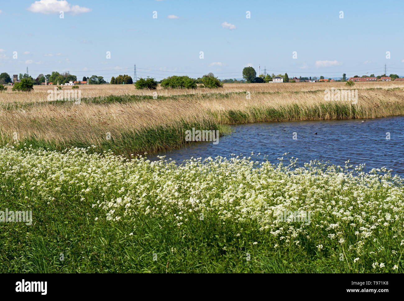 Blacktoft Sands, RSPB Nature Reserve, East Yorkshire, England UK Stock ...