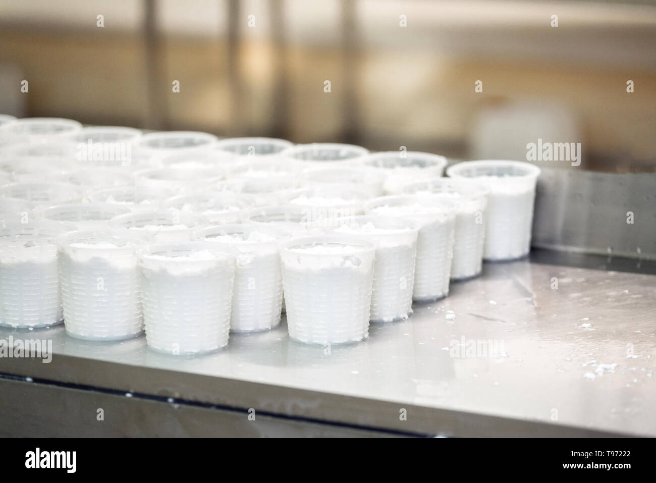 Close up view on many freshly made cottage cheese in plastic package ...