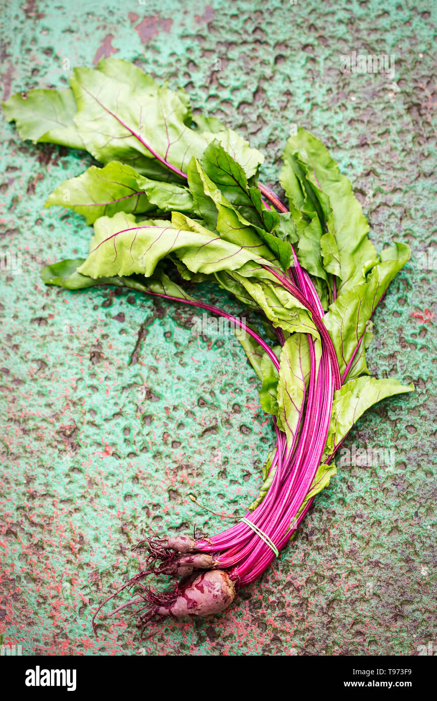 Baby beetroot garden hi-res stock photography and images - Alamy