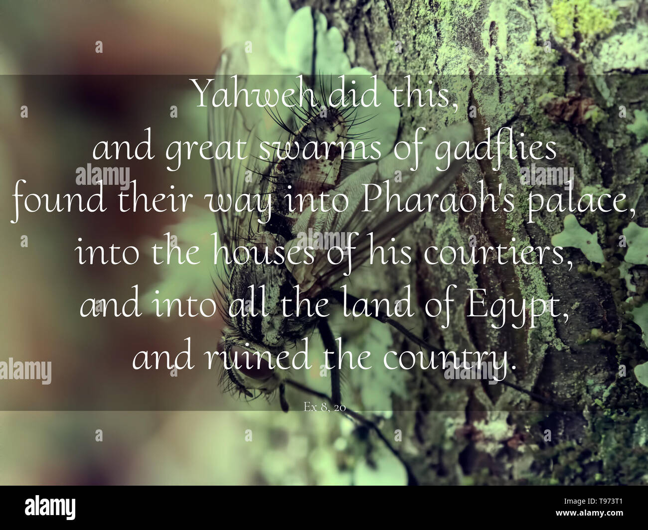 Deep and inspirational christian and catholic quotes and teachings from ...