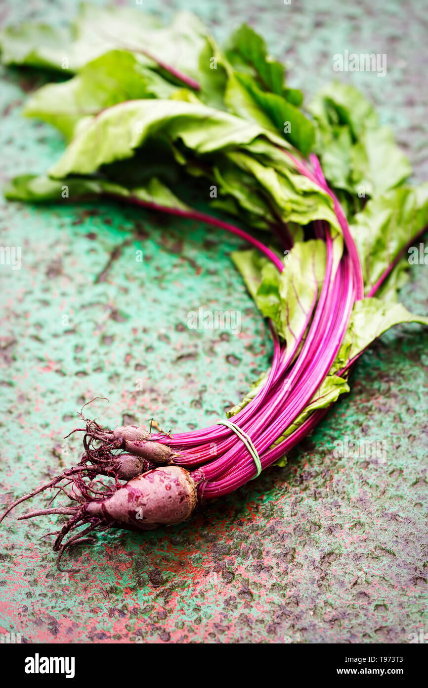 Baby beetroot harvest hi-res stock photography and images - Alamy