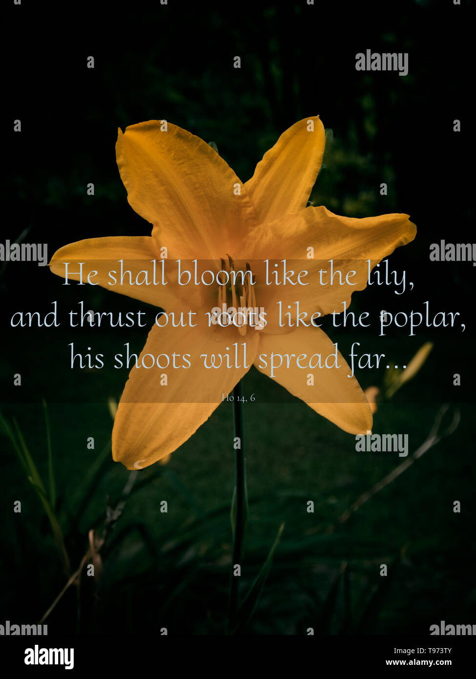 Deep and inspirational christian and catholic quotes and teachings from ...
