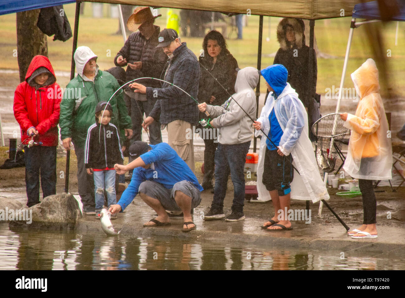 Many fishes in fountain hi-res stock photography and images - Alamy