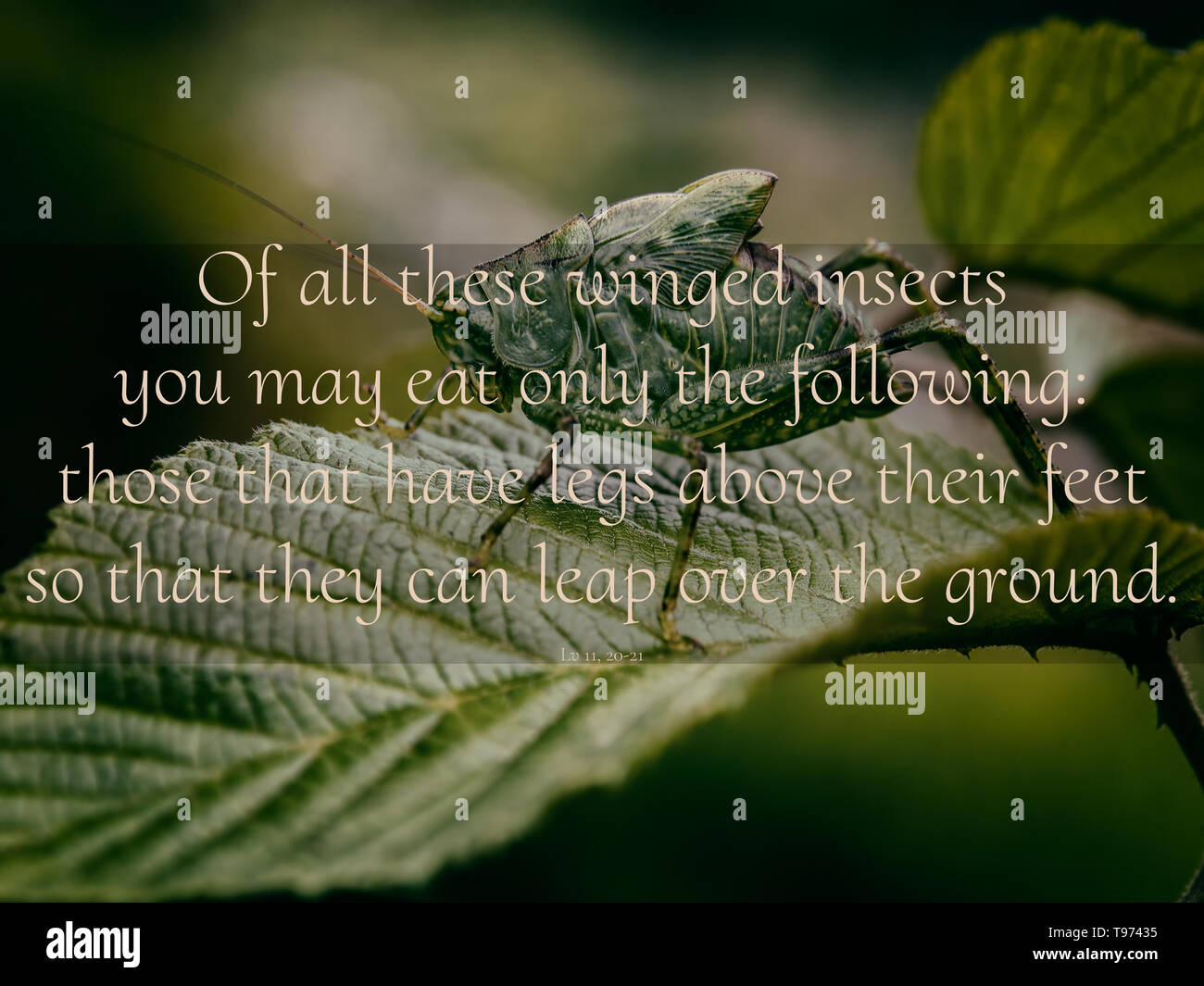 Motivational Saint Quotes Quotes By Saints BrainyQuote