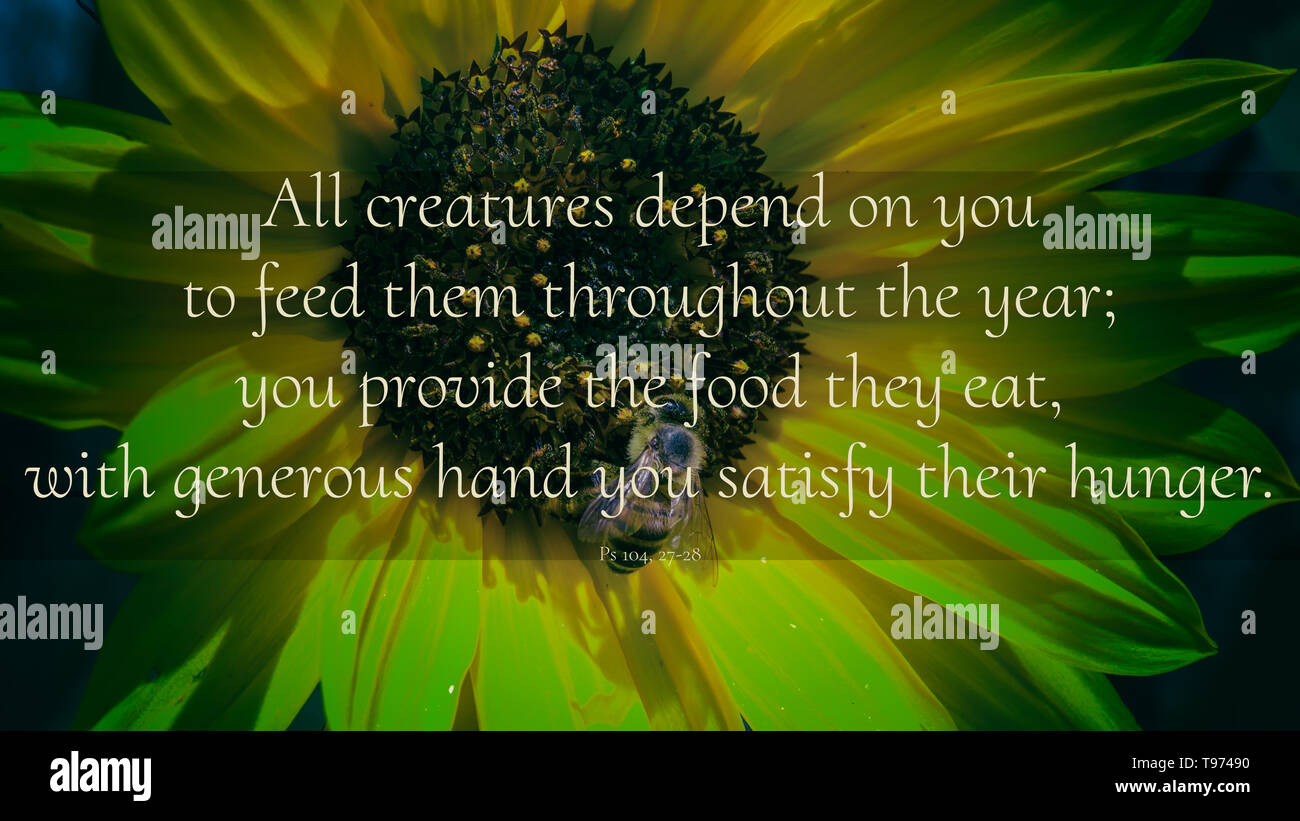 Deep and inspirational christian and catholic quotes and teachings from ...