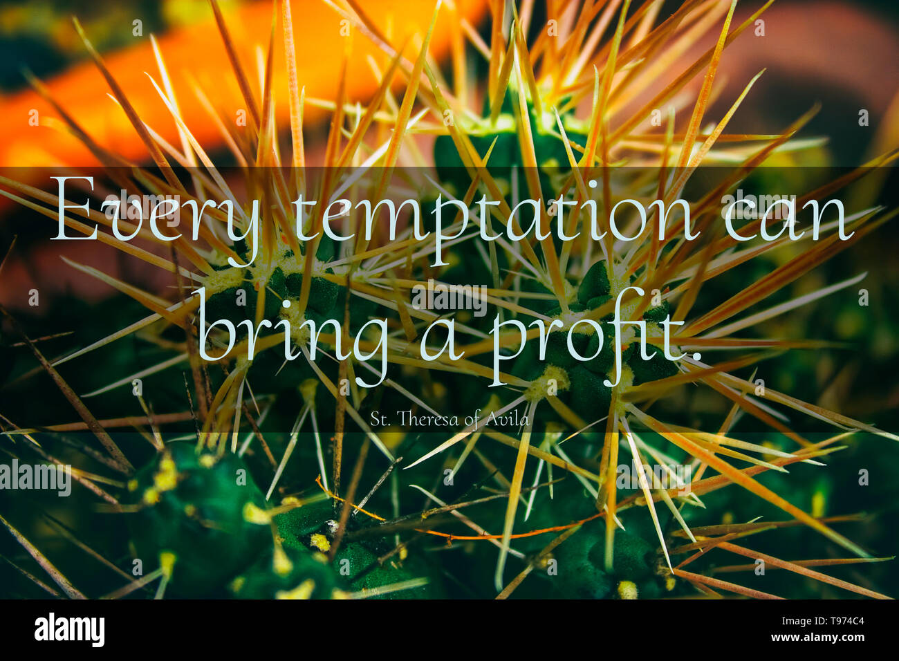 Deep and inspirational christian and catholic quotes and teachings from ...