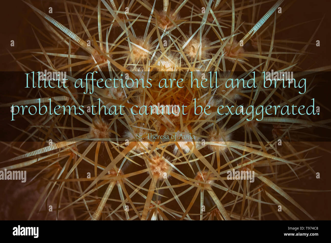 Deep and inspirational christian and catholic quotes and teachings from ...