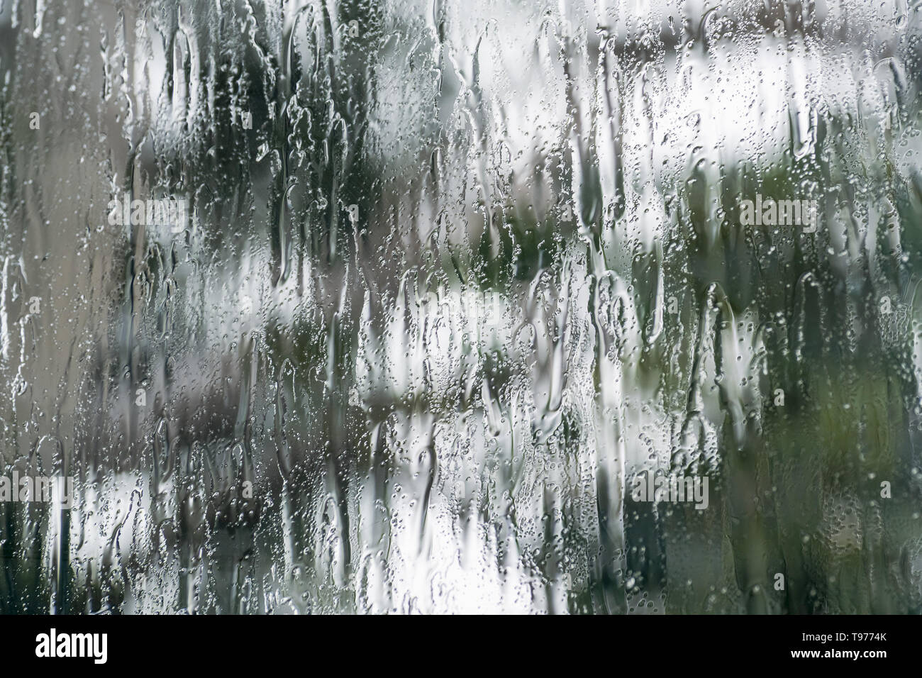 Pouring rain covering the window during a storm; blurred tree shape ...