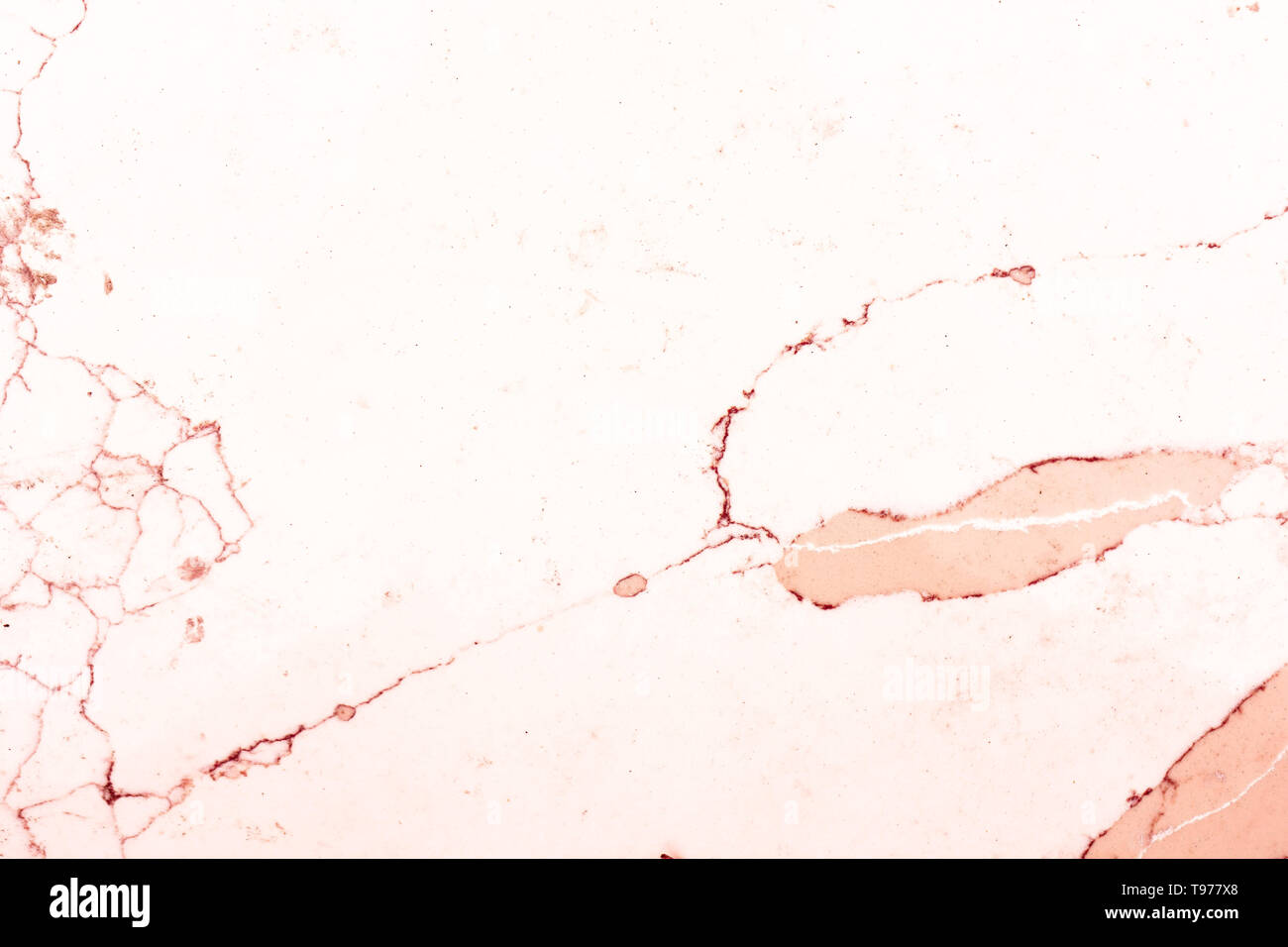 Burnt orange hi-res stock photography and images - Alamy