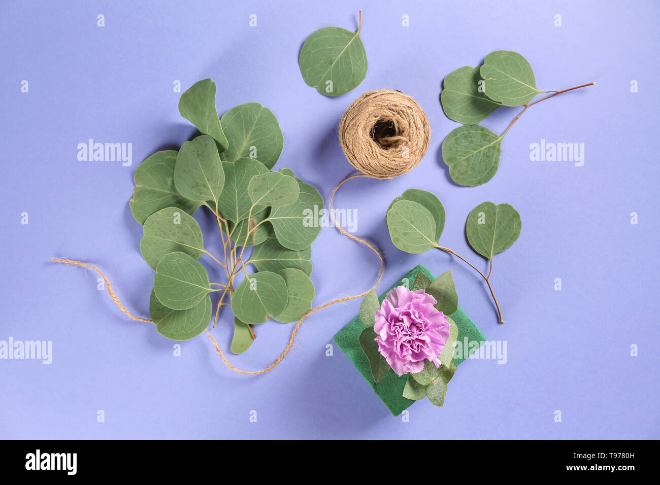 Green eucalyptus leaves with flower and threads on color background ...