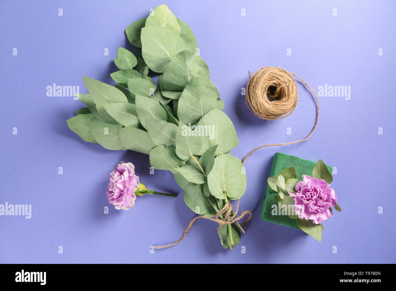 Green eucalyptus branches with flowers and threads on color background ...