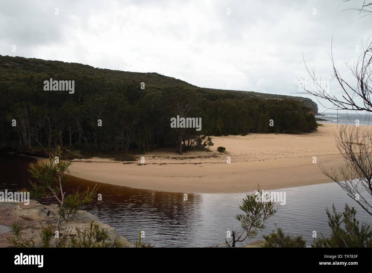 Panorama view of a golden sandy beach between Melbourne and Sydney ...