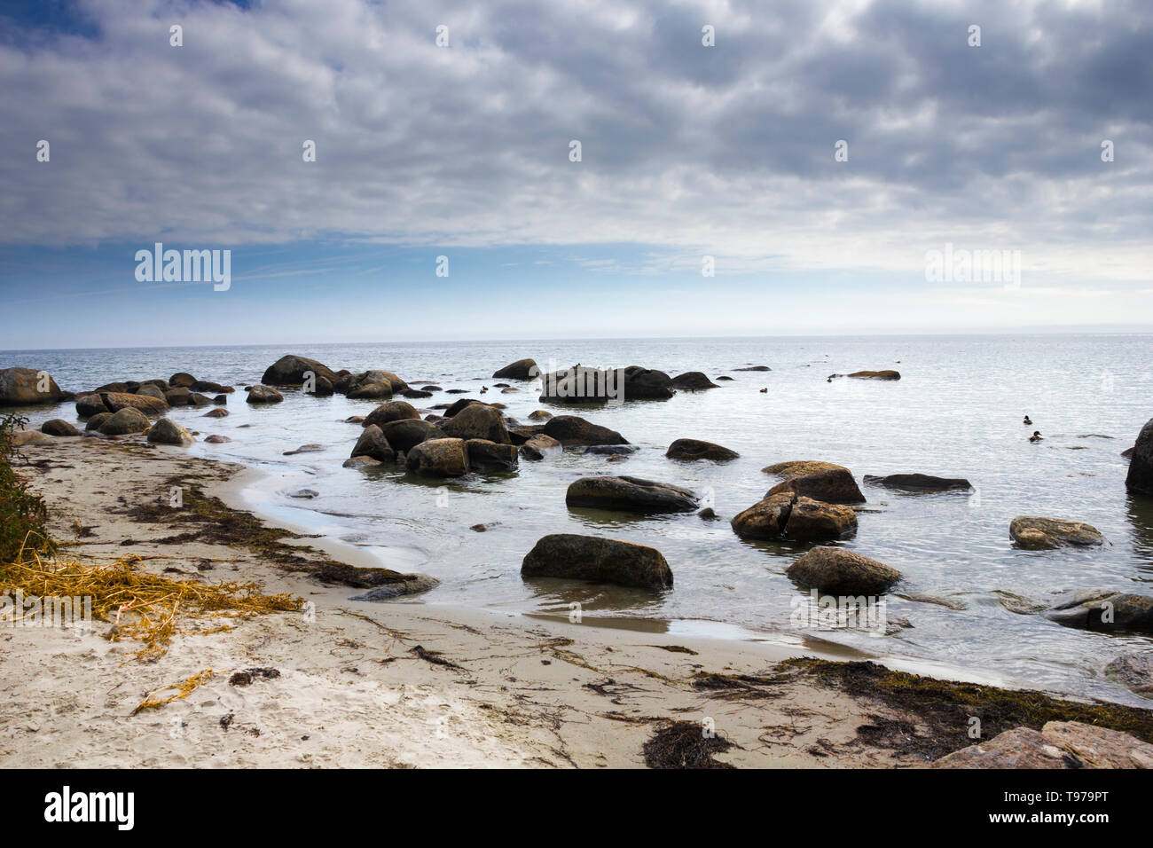 Big rocks on the beach in the baltic sea Stock Photo - Alamy